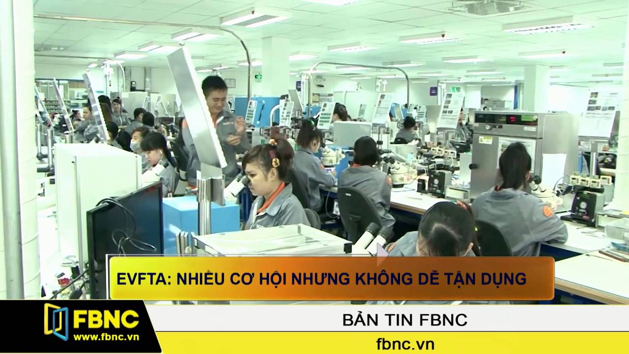 FBNC - EVFTA: Nhiều cơ hội nhưng không dễ tận dụng - YouTube