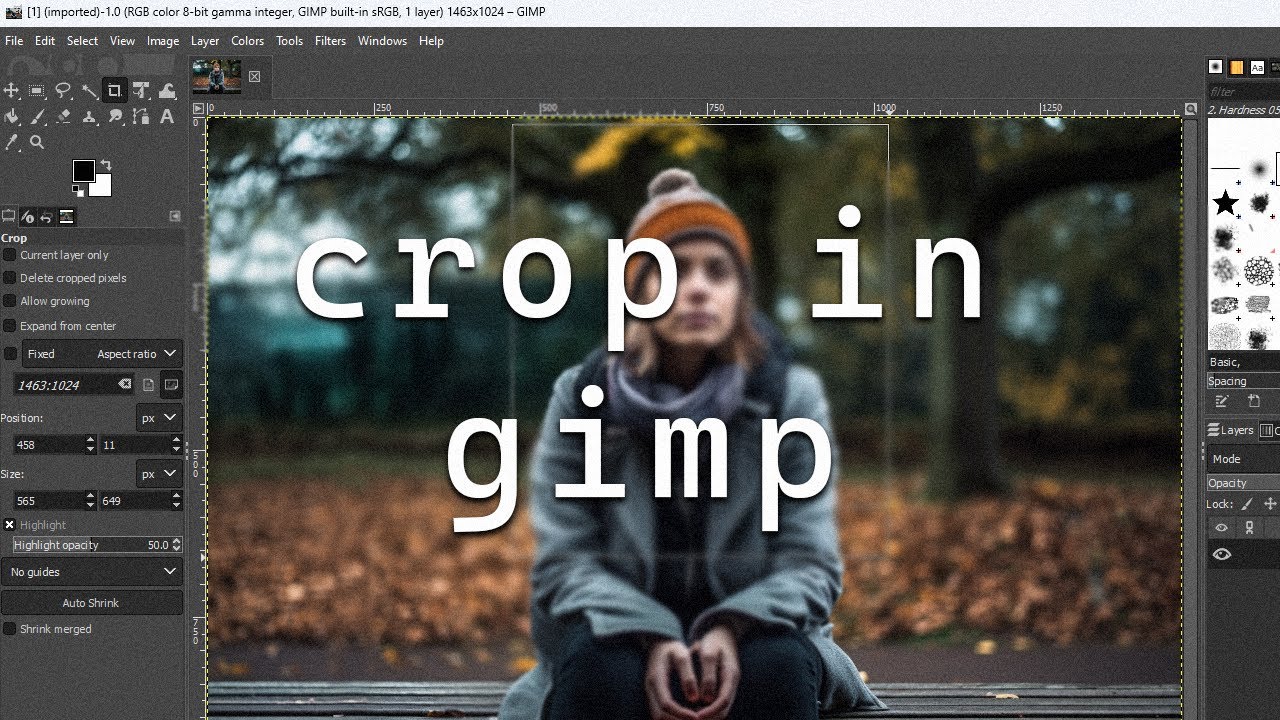 3 Easy Ways To Crop In GIMP On Windows 11 Fast Guide YouTube 3 Easy Ways To Crop In GIMP On Windows 11 Fast Guide YouTube