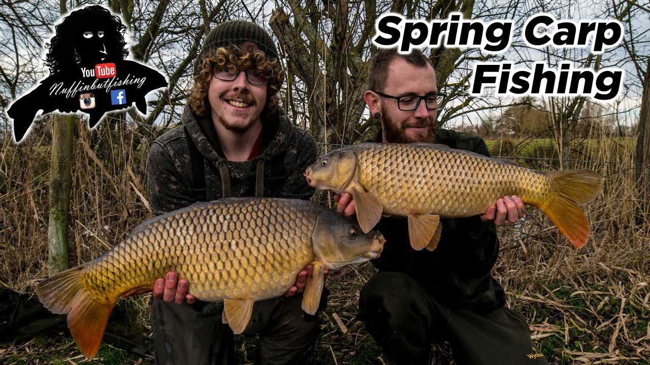 Spring Carp Fishing - YouTube