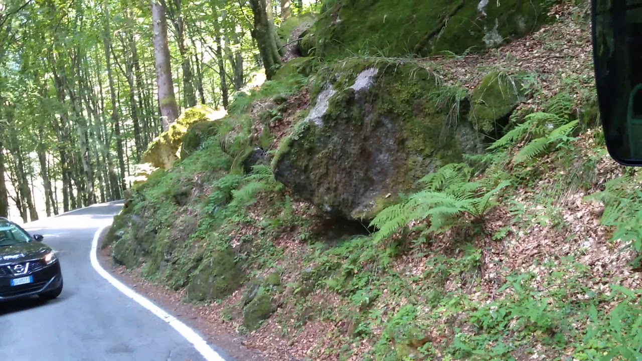 Aldo il bus nella foresta. - YouTube