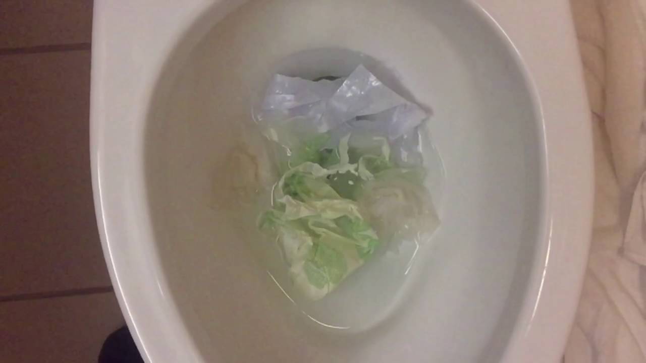 Flushing random stuff down a TOTO Drake Toilet! - YouTube