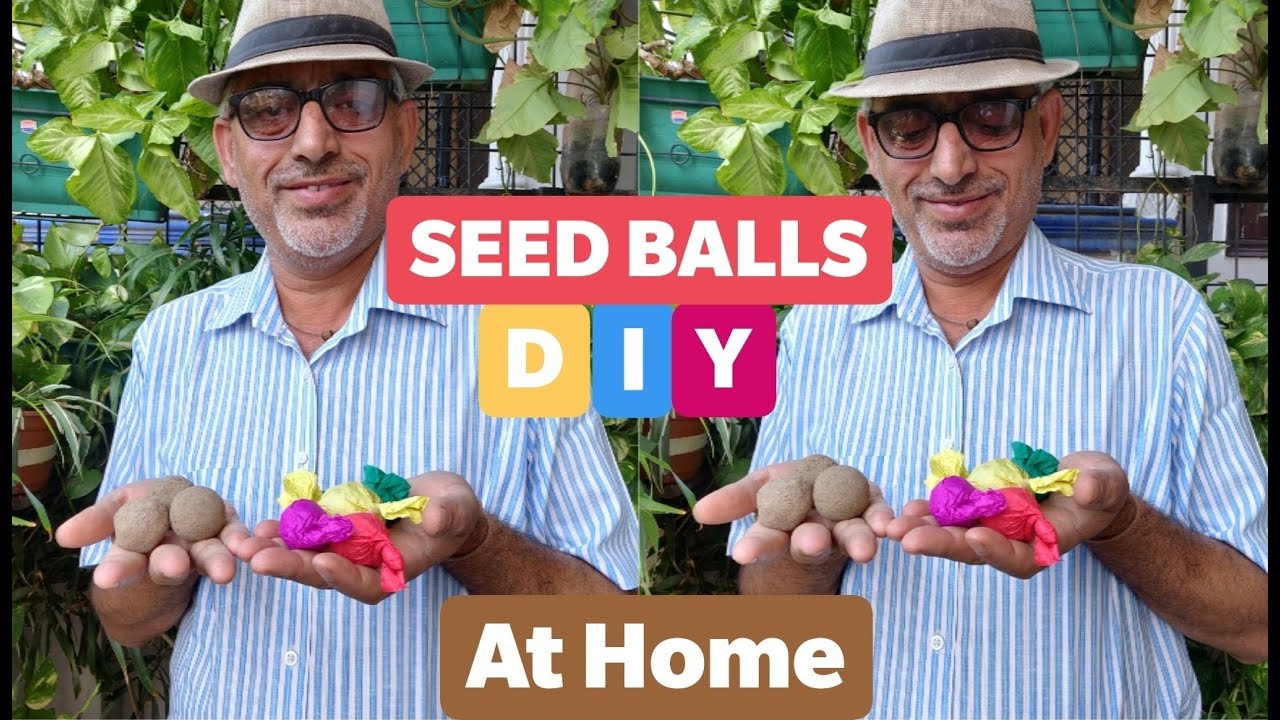 How to Make SEED BALLS at Home | DIY SEED BOMBS | EARTH BALLS to grow ...