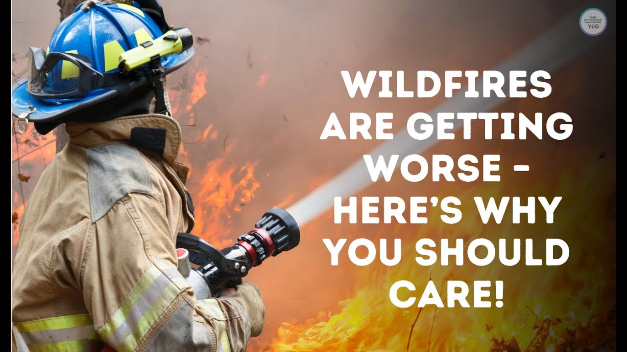 Wildfires are Getting Worse, Here's Why You Should Care! #wildfire # ...