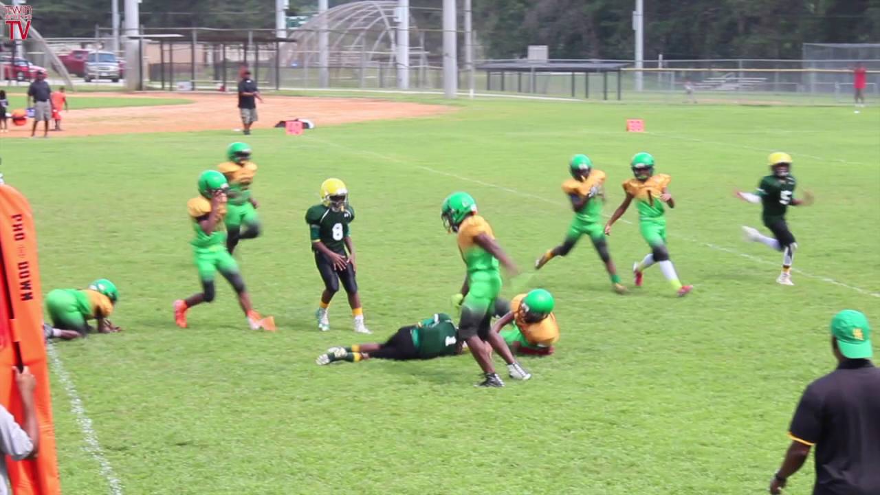 TwinSportsTV: Atlanta Ducks vs. Hapeville Hornets (12U Highlight Game ...