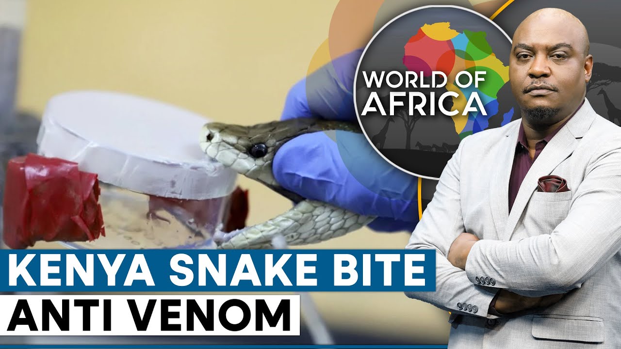 Kenya: scientists race to develop local anti venom | World Of Africa ...