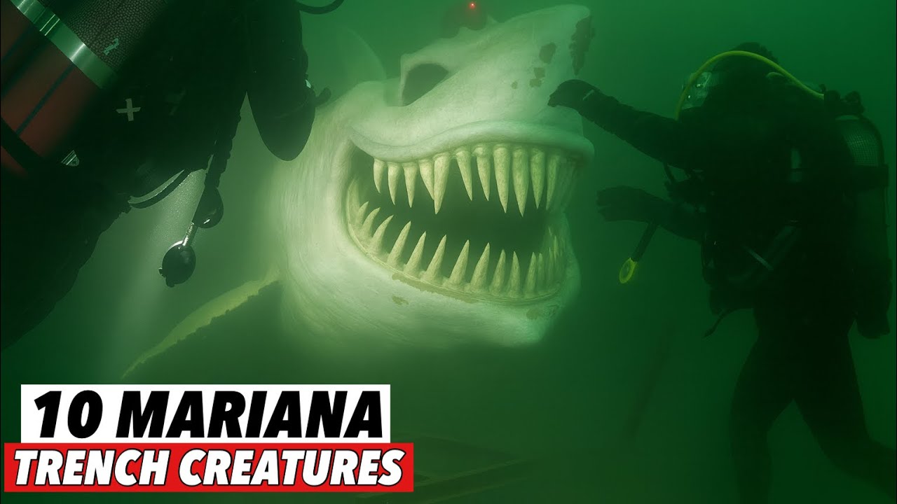 10 Scary Mariana Trench Creatures That You Never Seen Before - YouTube