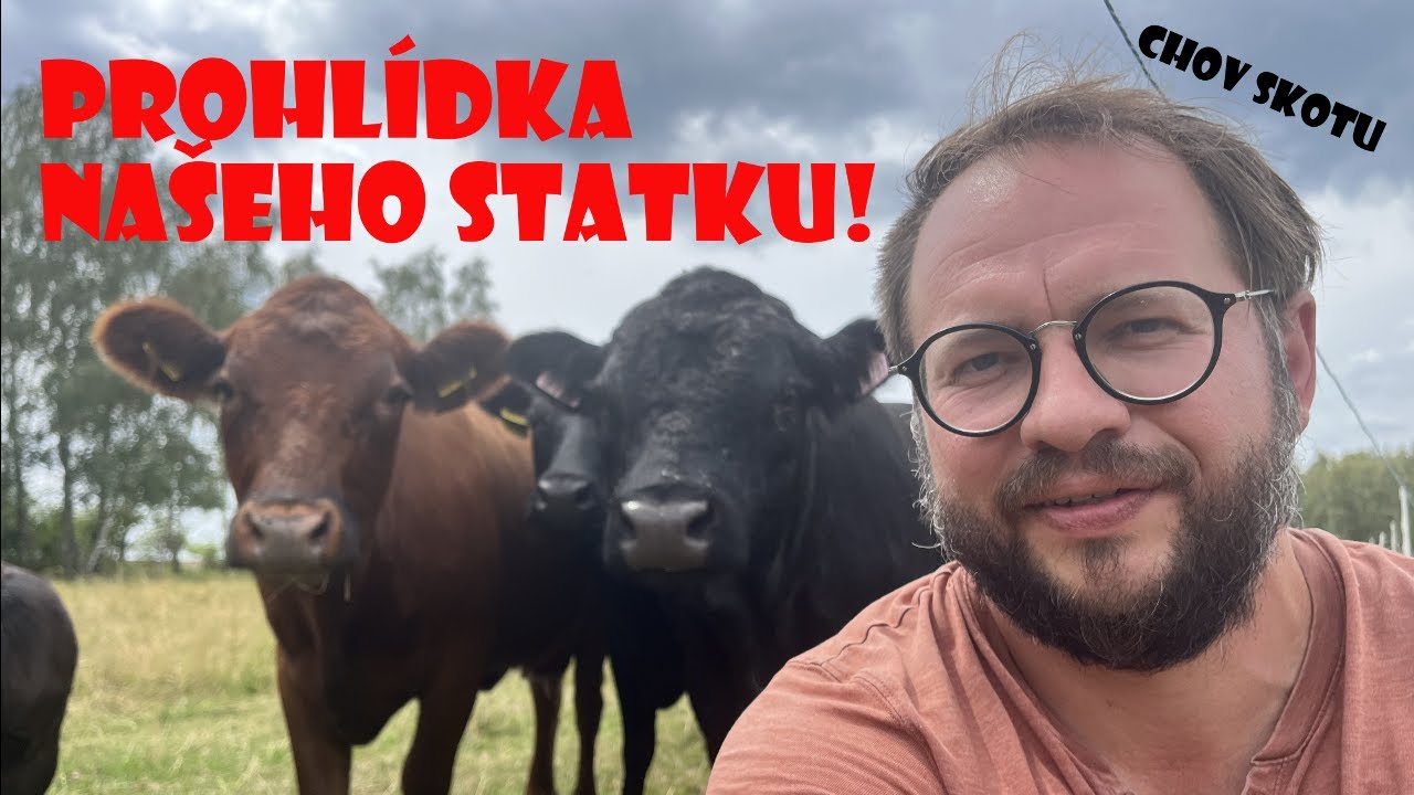 Jak CHOVÁME SKOT DEXTER na našem statku? - PROHLÍDKA NAŠÍ FARMY (Malá ...