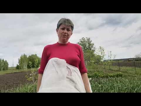 Сею морковь, сажалка для моркови, высадила капусту, достали пугало, в ...