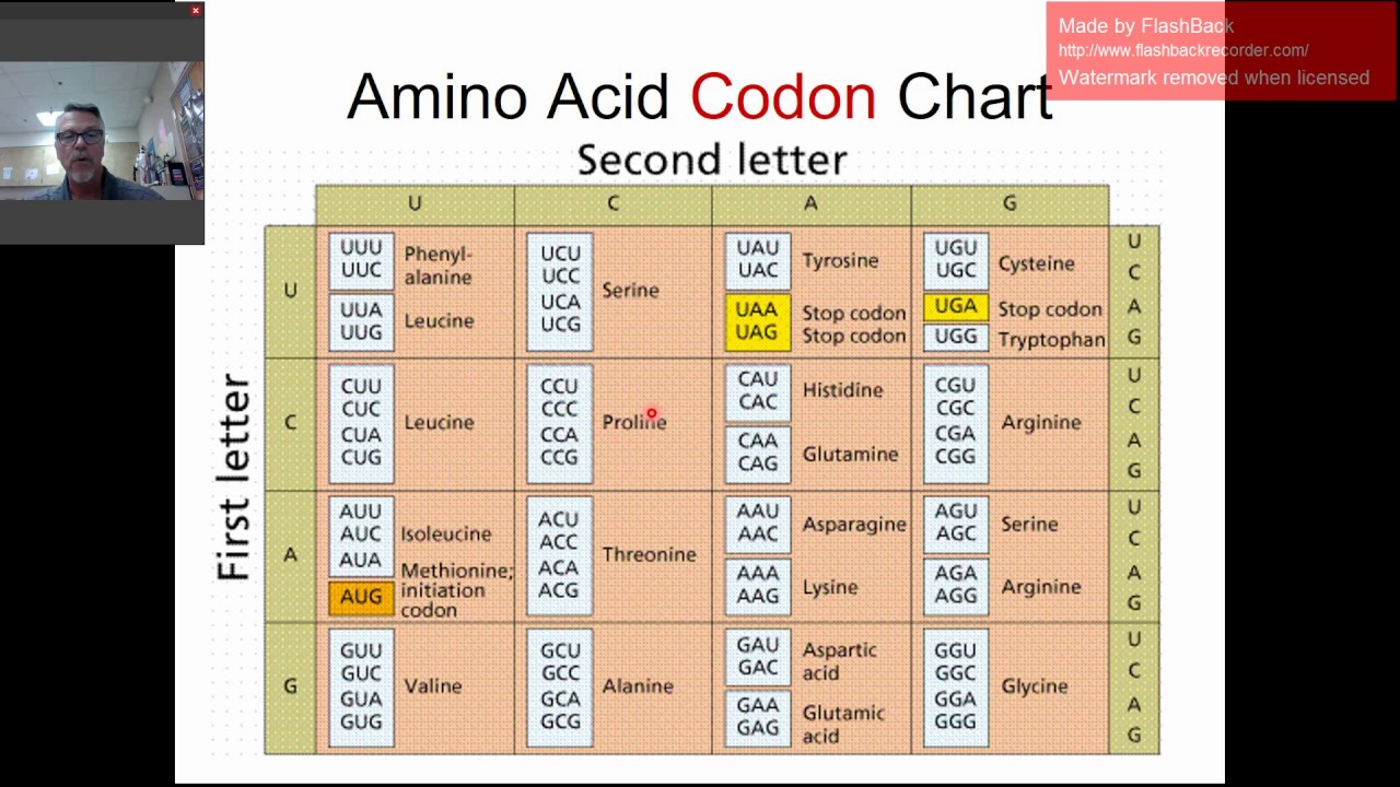 Translation notes - YouTube