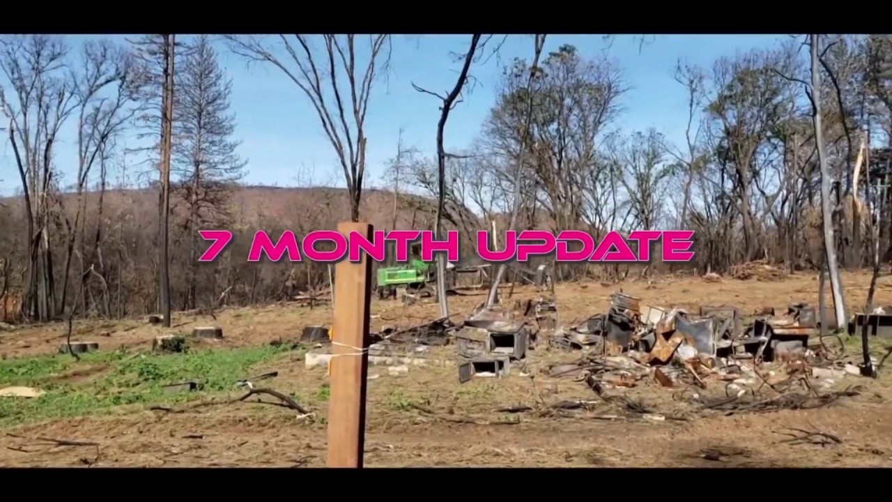 Camp Fire 7 Month Update before & after - YouTube