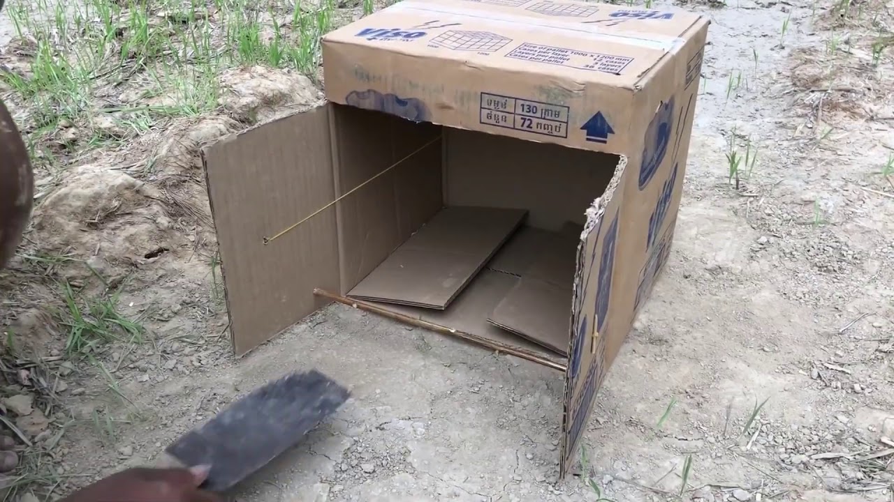 You Shouldn't Miss This Video ! Very Simple Myna Bird Trap using Big ...