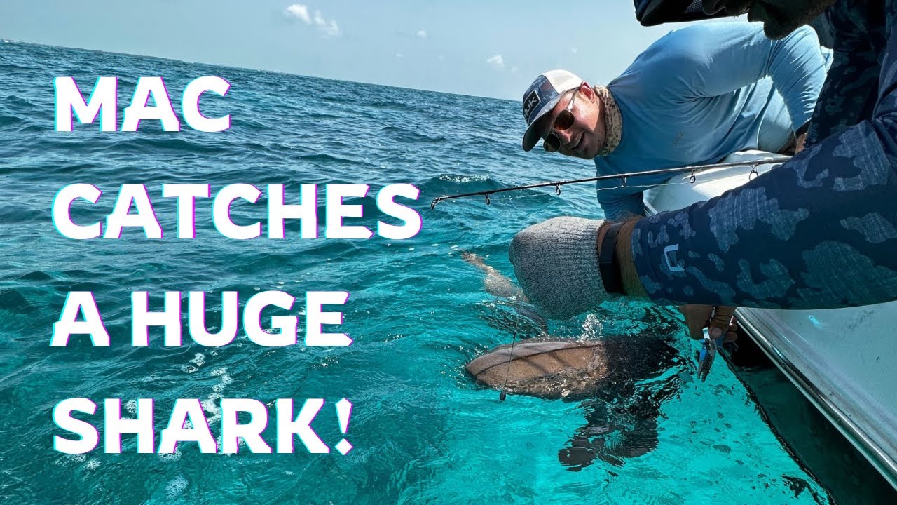Mac catches a HUGE SHARK in the Florida Keys - YouTube