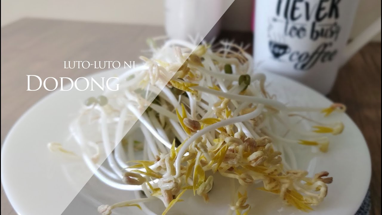 How to Grow Mongo Bean Sprout | Grow Bean Sprout - YouTube