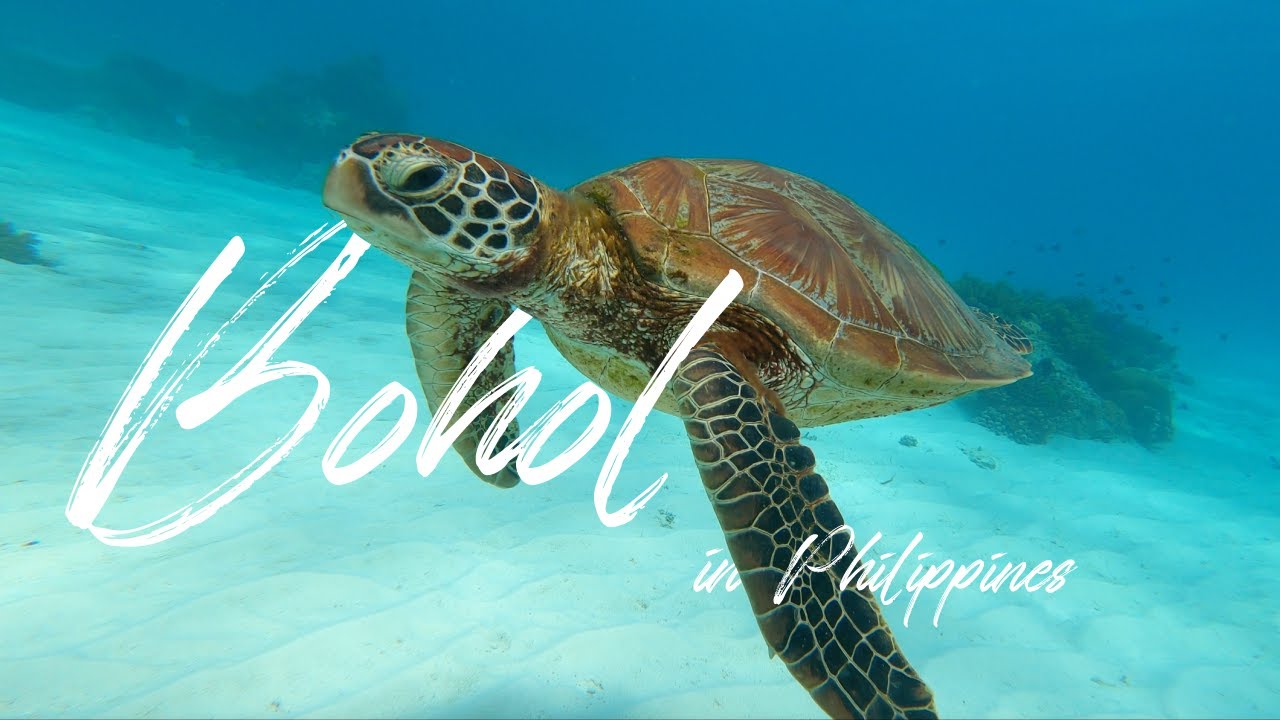 [필리핀 여행] 보홀 프로모션 스티커, 하나투어 / Bohol Promotion Sticker, Hanatour - YouTube