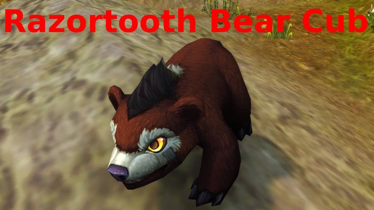Razortooth Bear Cub - pet - wow dragonflight - YouTube