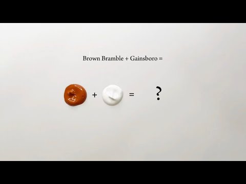 Guess the final color 🎨 Paint mixing - YouTube