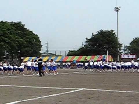 The Human Bridge Game - YouTube