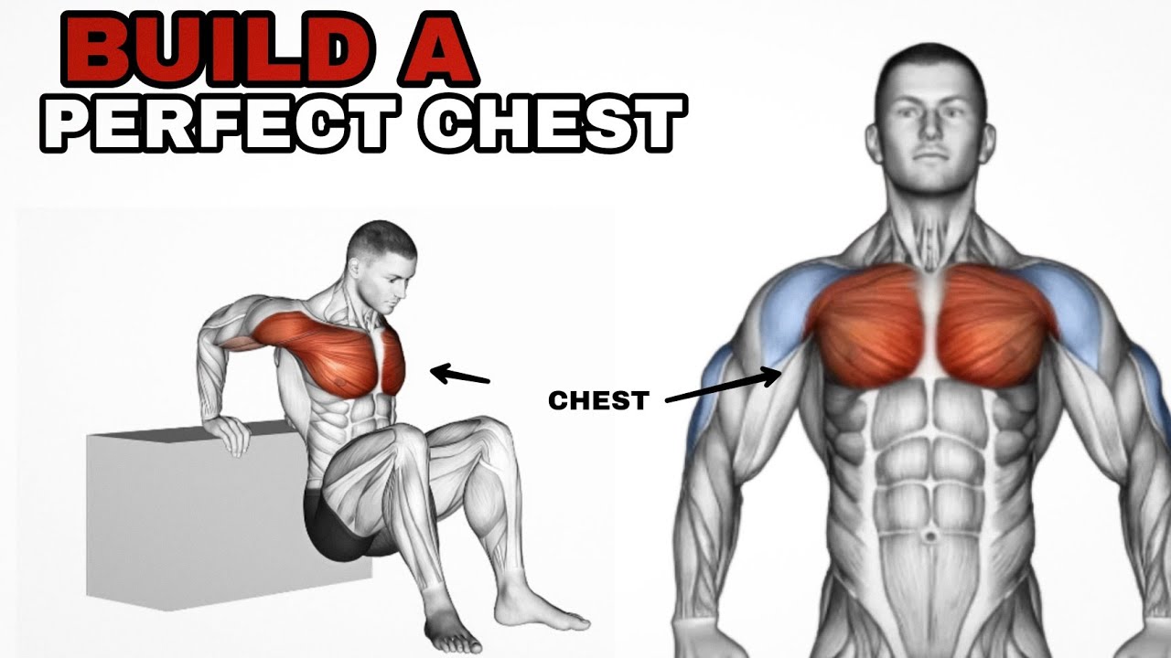 9 effective exercises to build a perfect CHEST - YouTube