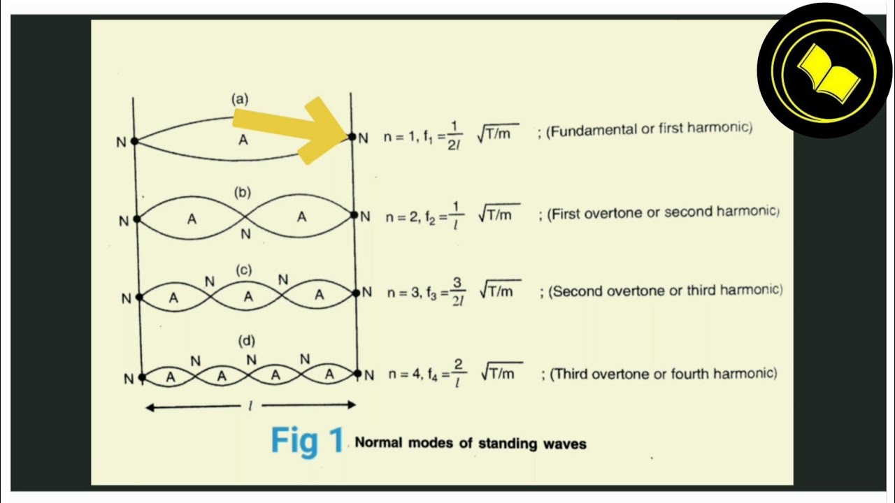 Shapes and frequencies of normal mode | Standing or Stationary waves ...