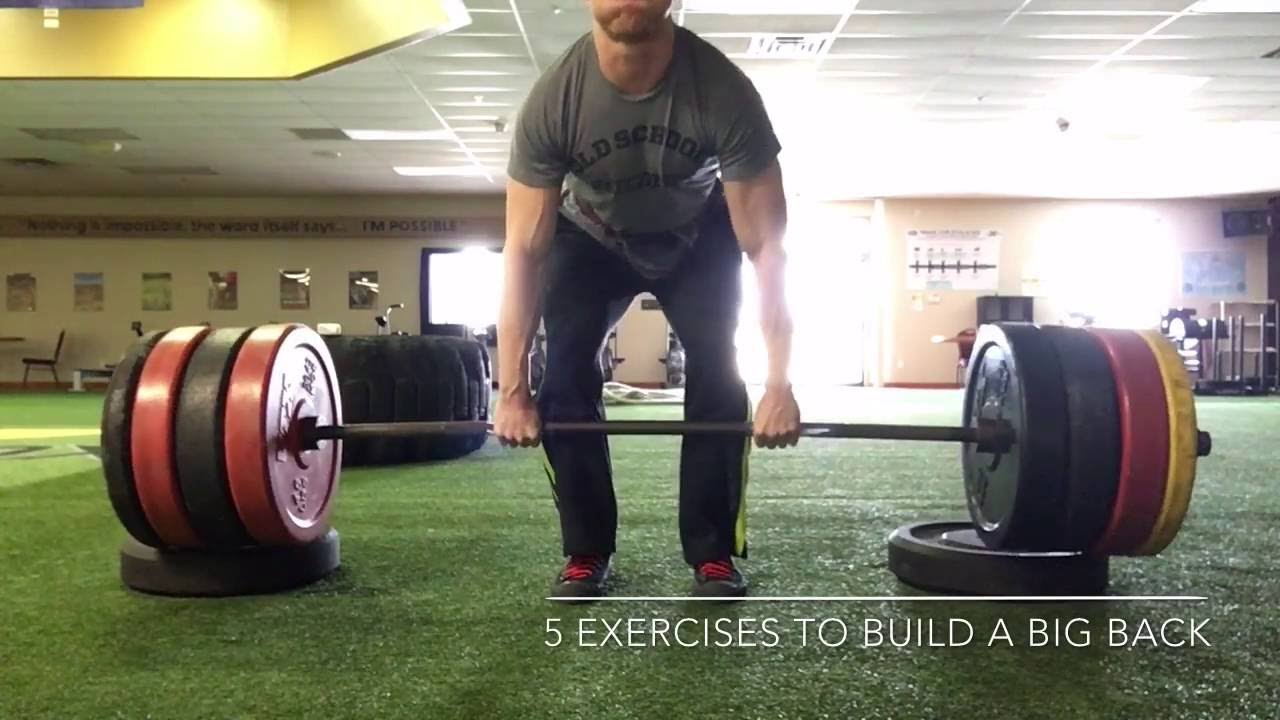 5 Exercises to Build a Big Back - YouTube