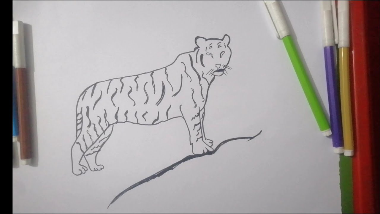 Easy Tiger Drawing 🐅|how to draw a tiger step by step | tiger drawing ...