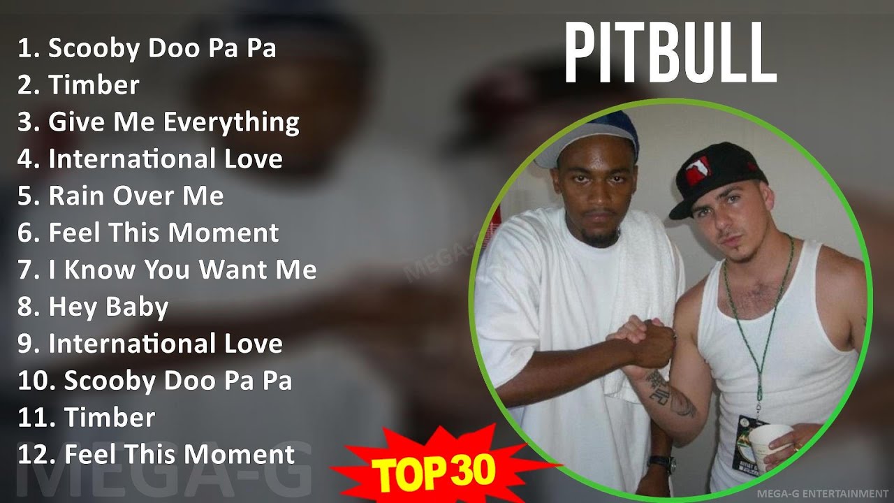 P i t b u l l MIX Non-Stop Playlist ~ 2000s Music ~ Top Latin, Rap ...