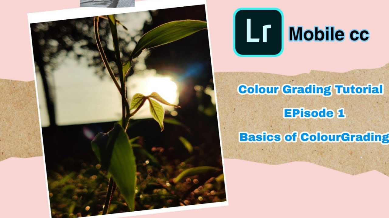 Lightroom Colour Grading Tutorial E1- Basics of Colour Grading | Bloomy Sunlight | Free Preset ...