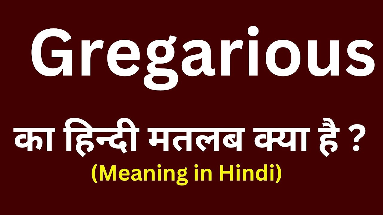 Gregarious meaning in hindi || Gregarious ka matlab kya hota hai ...