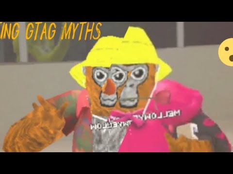 TESTING GTAG MYTHS CRAZY #gtag #tiktok #funny #meme - YouTube