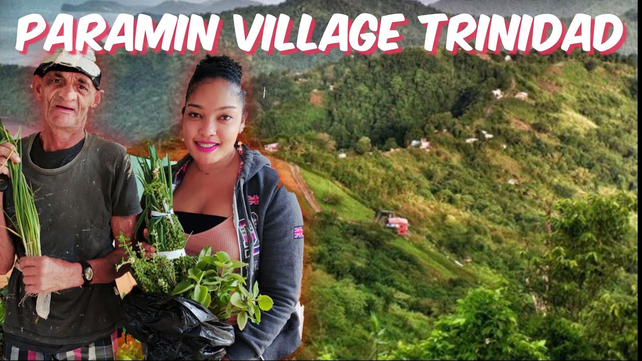 Tour of Paramin Village Trinidad | Trinidad Youtuber - YouTube