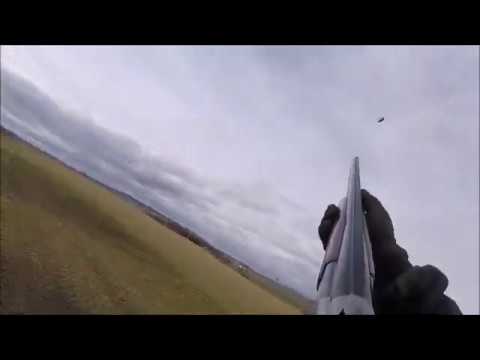 Pheasant hunting Czech Republic 30 01 2020 - YouTube