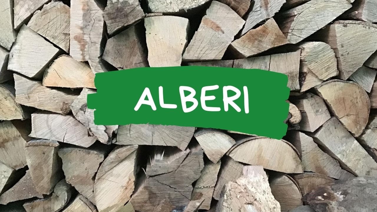 L'importanza degli alberi - YouTube