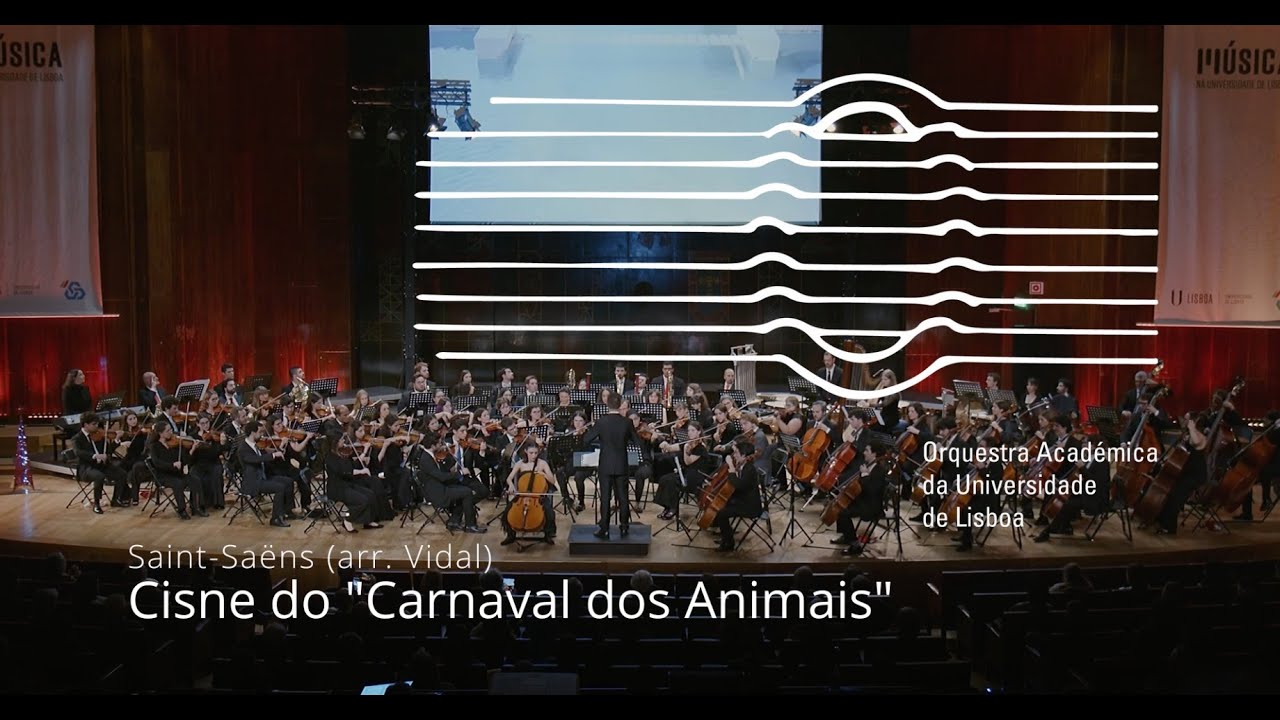 C. Saint-Saëns: Cisne do "Carnaval dos Animais" - YouTube