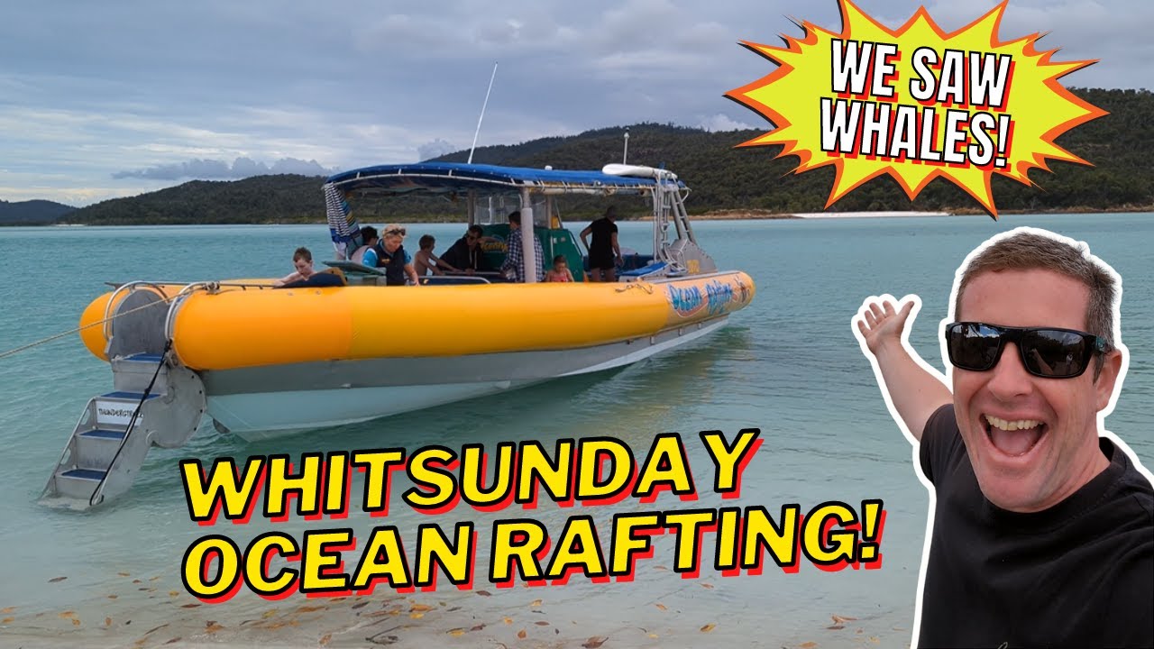 PLAY | Ocean Rafting the Whitsundays off Airlie Beach - such an amazing ride with whales ...