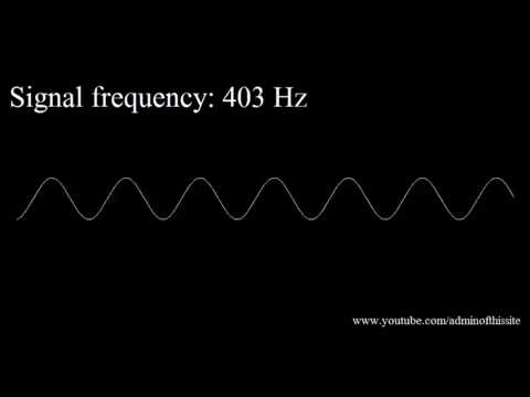 100 - 1000 Hz
