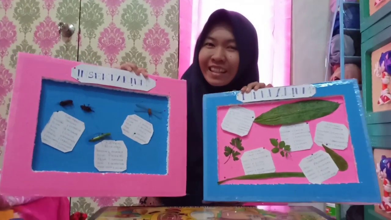 Praktikum Insektarium dan Herbarium - YouTube