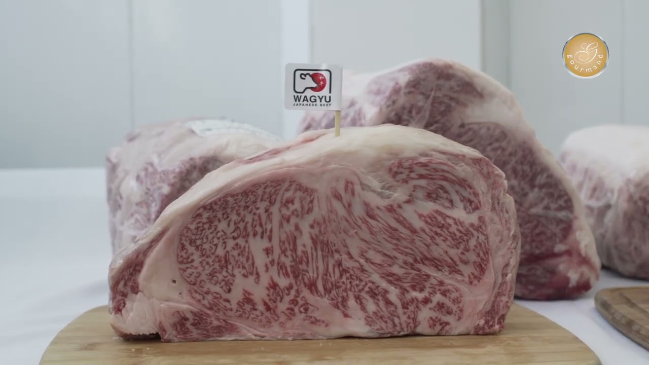 EN LA BÚSQUEDA DEL CORTE PERFECTO... ¿QUÉ TAN ANGUS ES TU ANGUS? VOL ...