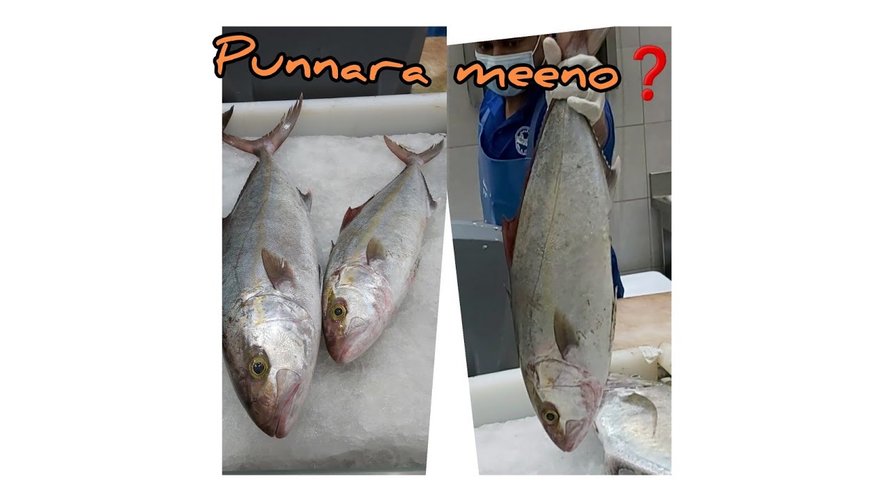 Punnara meeno!!?? - YouTube