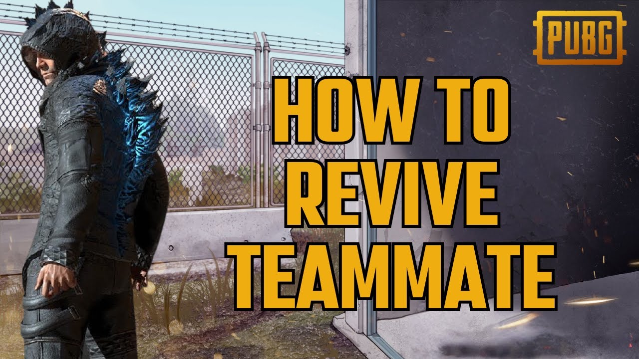 How to Revive Someone on PUBG Mobile Game 2024? - YouTube