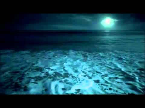 United States Navy SEALs "Footprints" 2006 TV Commercial - SanDiego.com ...