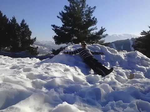 HASAN  DİNÇ TEK