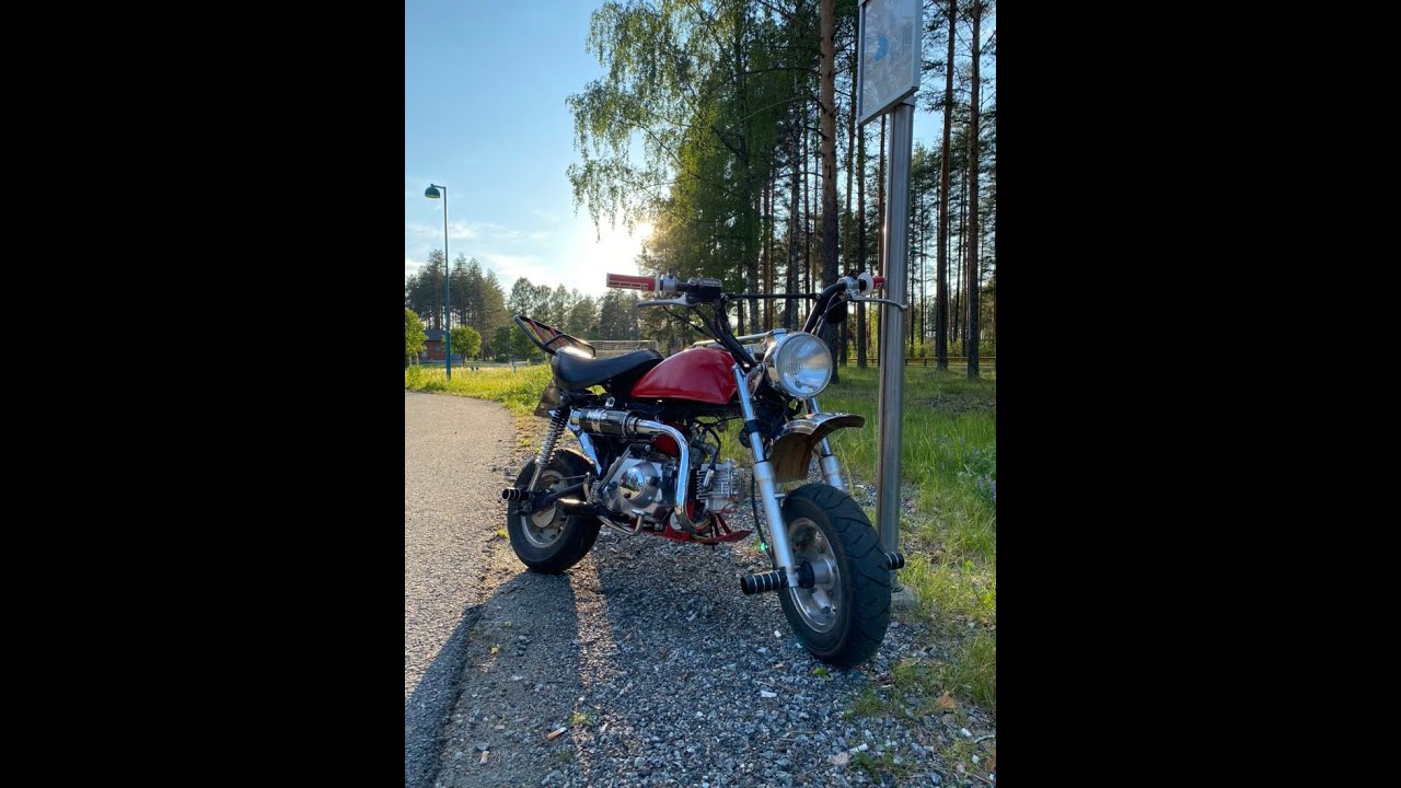 Tuning monkey - YouTube