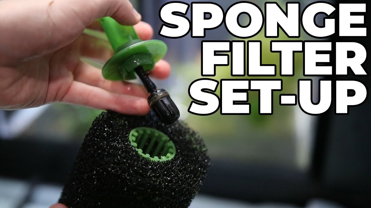 How To Set Up A Sponge Filter - YouTube