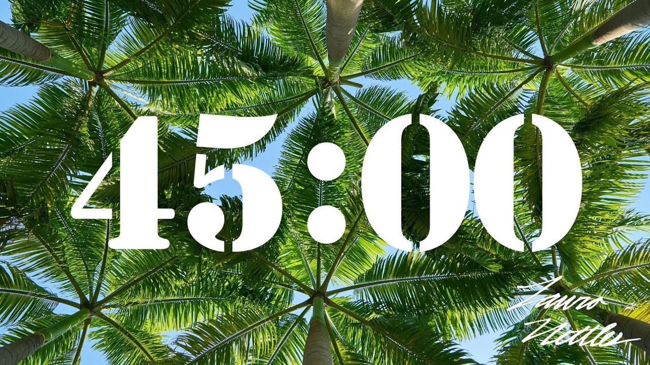 45 Minute Palm Tree Timer - YouTube