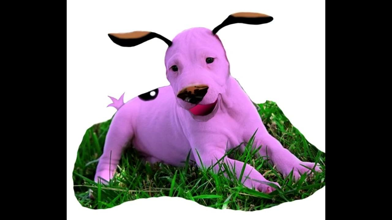 1 Bit 2 Bit 4 Bit 8 Bit 16 Bit 32 Bit 128 Bit 256 Bit 512 Bit 1024 Bit 2048 Bit 4096 Bit 8192 ...