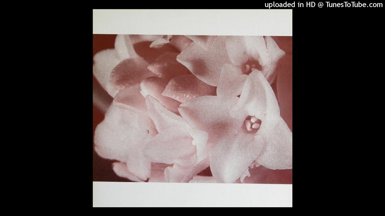 MASONNA 'Masonna Vs. Bananamara' LP 1989 29 Tracks (FULL ALBUM) Classic ...