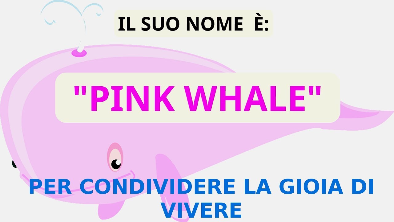 Le regole della Balena Rosa, Pink Whale, in italiano - YouTube