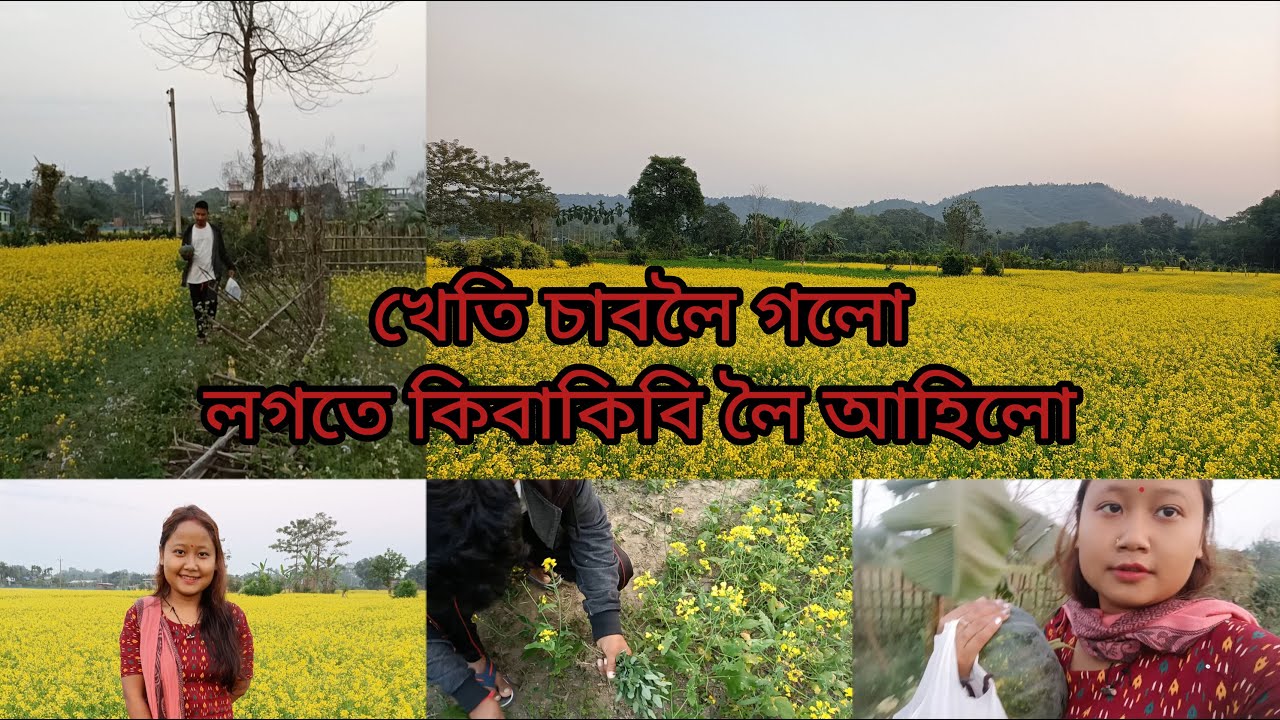 খেতি চাবলৈ গলো/ লগতে কিবাকিবি লৈ আহিলো / biyar past fast akeloge ...