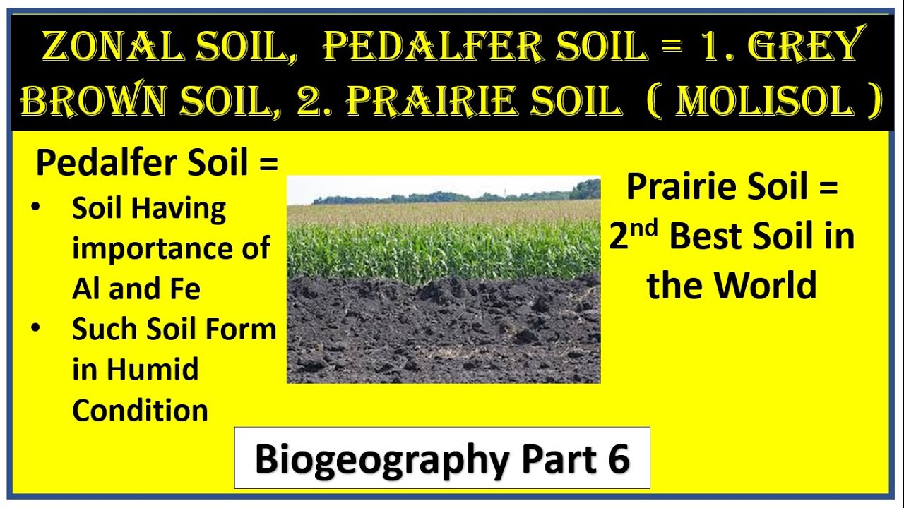 Zonal Soil I Pedalfer Soil I Grey Brown Soil I Prairie Soil ( Molisol ...