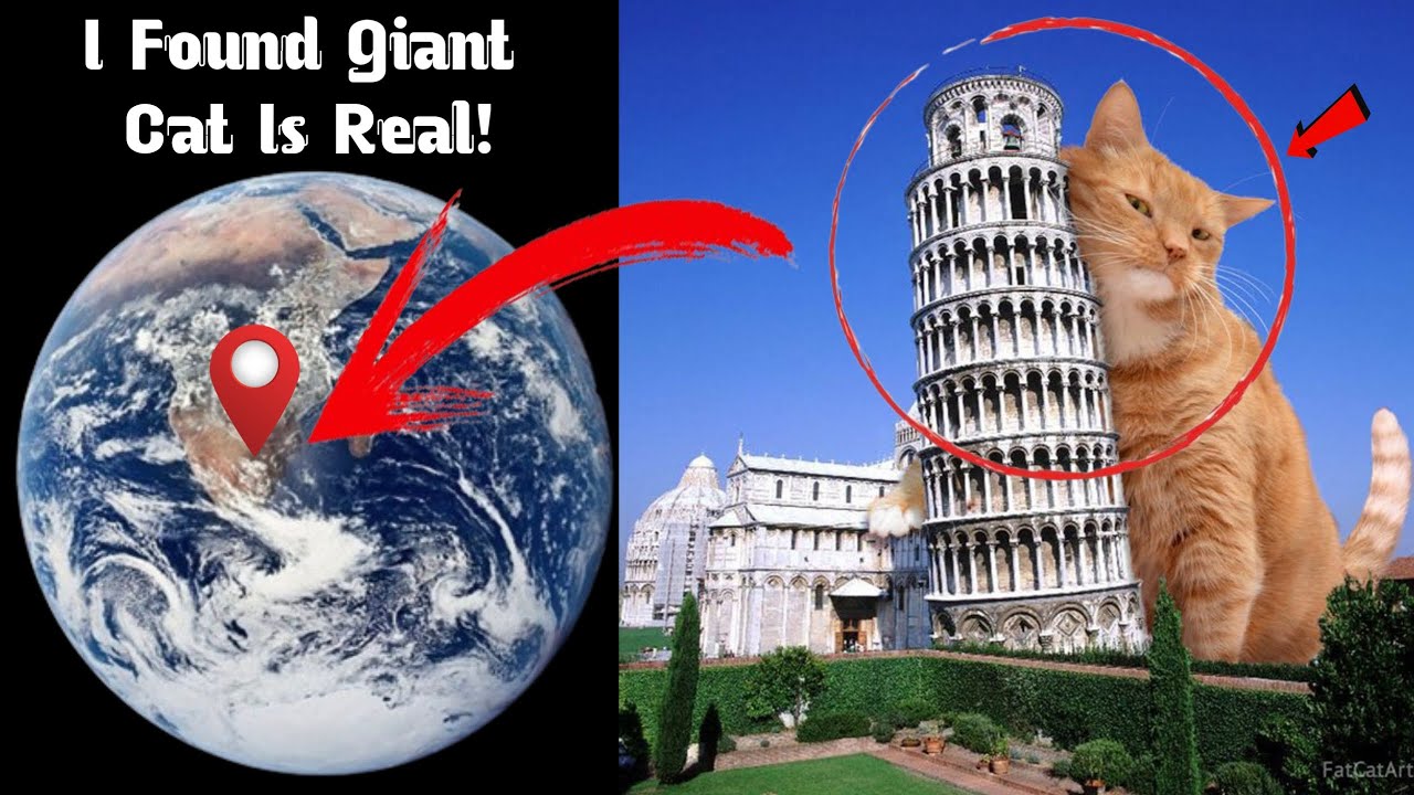 I Found Giant Cat is real life 🐱😶‍🌫️ on google maps and google earth 🌎 ...